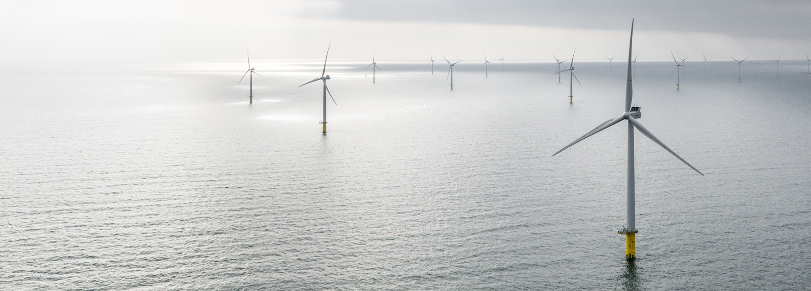 NOWI | National Offshore Wind Institute